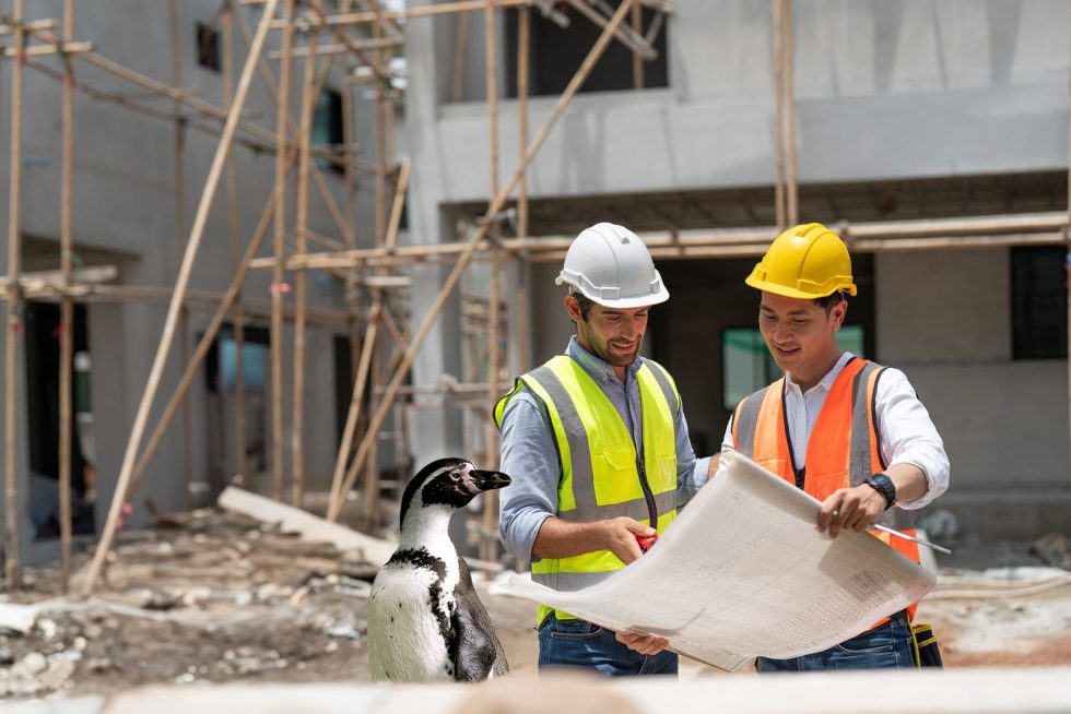 Geotechnical Engineering Recruitment | Penguin Recruitment Consultants